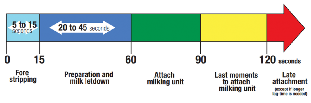 Step-by-Step Milking Procedure - Trousse Tactic