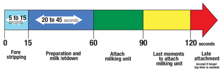 Step-by-Step Milking Procedure - Trousse Tactic