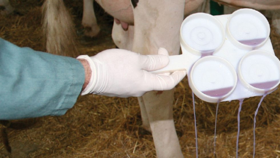 Le test de mammite de Californie (CMT) - Trousse Tactic